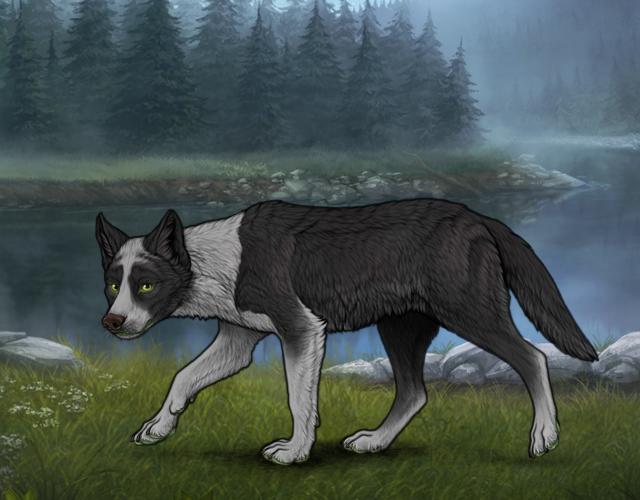 Onyx Base | M | TII | G3 |:| Wolvden