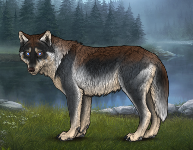 Cedar Bark |:| Wolvden