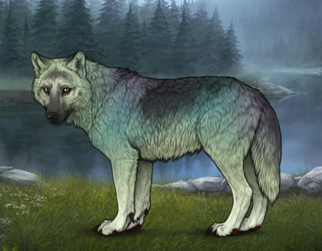 TBN - Sc |:| Wolvden