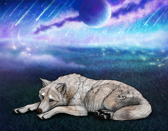 G1 HET B/B Chromium |:| Wolvden