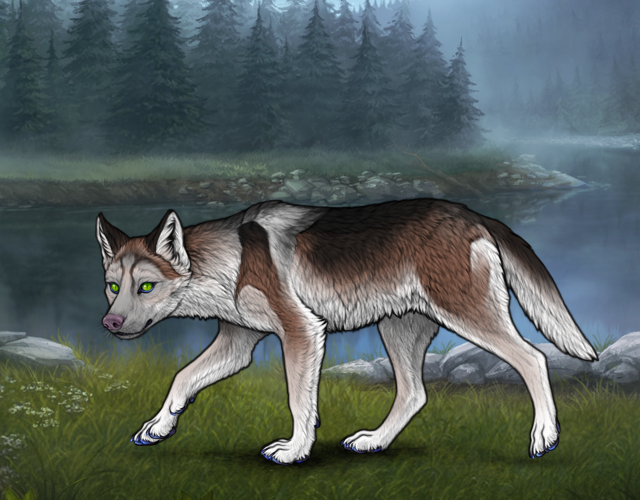 !! New Befriended Wolf |:| Wolvden