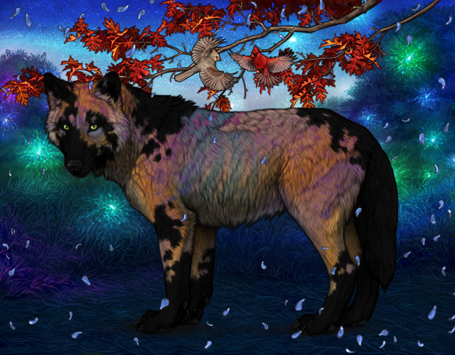 Oynx Storm |:| Wolvden