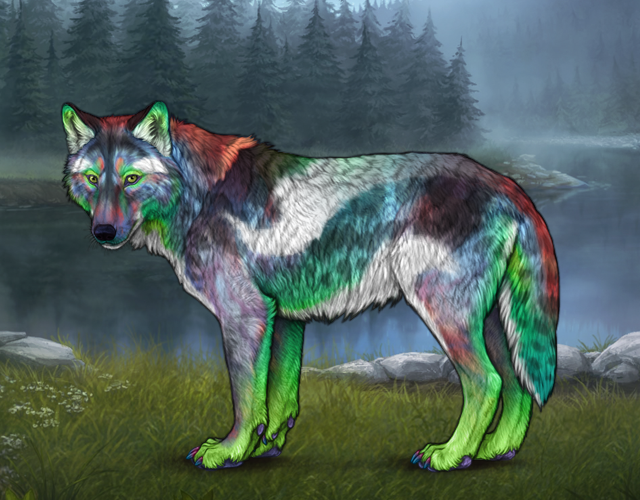 BLS/Orca |:| Wolvden