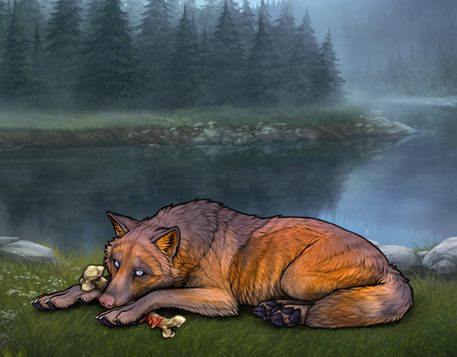 G3 713s M T1 6M 1x Merle |:| Wolvden