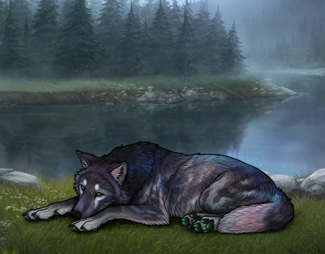 Nova🔥 |:| Wolvden