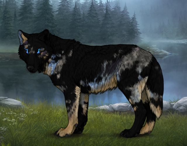 Mottled Patch T2 410stat |:| Wolvden