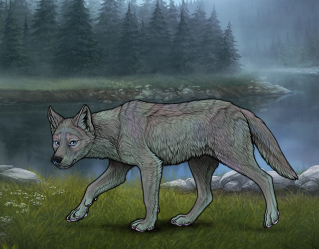 G3 T2 7m 3x merle orca |:| Wolvden