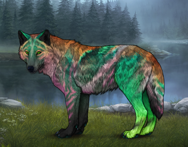 G3 F┆T2┆4m┆Leo Shark mark |:| Wolvden