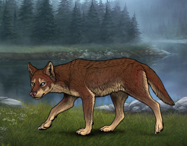 F G3 563 T2 4M WWS |:| Wolvden