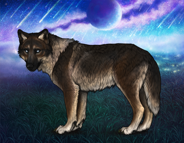 G1 Shepherd Heavy, Shedua |:| Wolvden