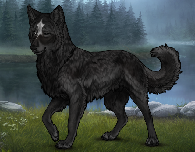 atmosphere |:| Wolvden