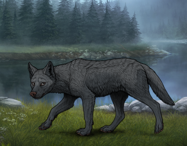 Puppy -Strength Training- |:| Wolvden