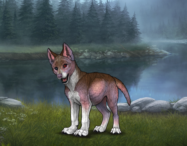 Piebald: Biewer |:| Wolvden