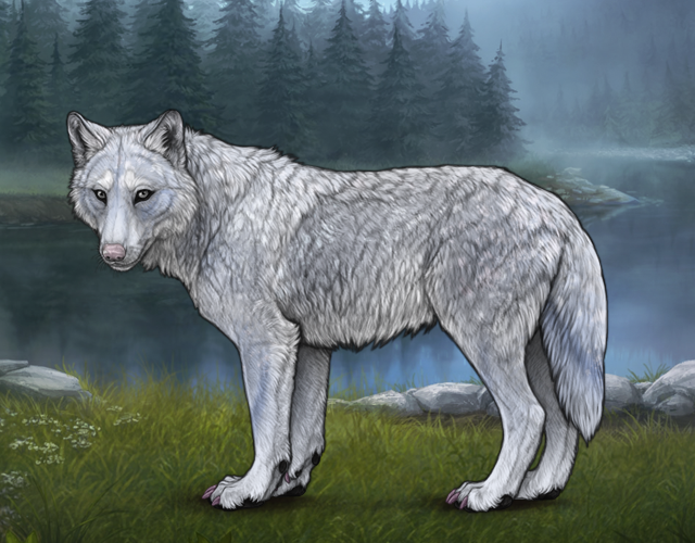 G2 T2 M 7m carrier mela |:| Wolvden