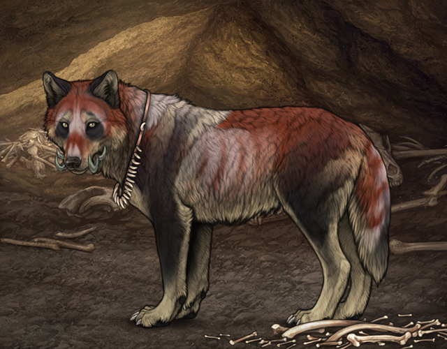 New Befriended Wolf |:| Wolvden