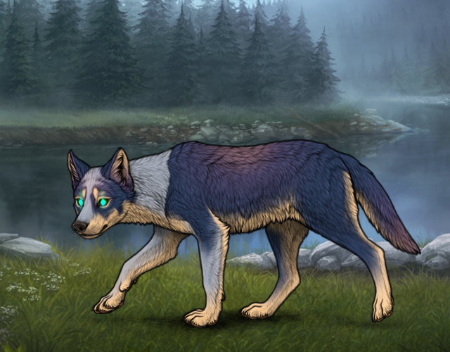 Chased Wolf Spotting - Revamped |:| Wolvden