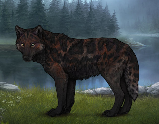 ♀️Caribou 7M Puma BLS |:| Wolvden