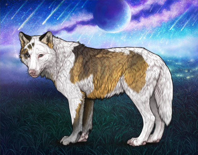 Dip! Goldenrod 5M. 322s |:| Wolvden