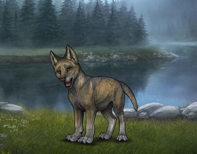 Tuff T2 4m 396 ⭐ |:| Wolvden