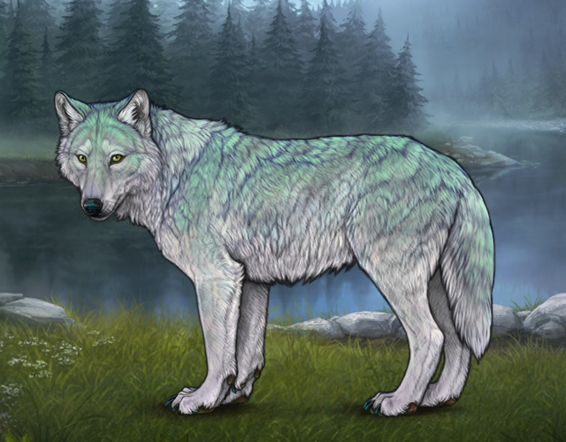 Aqua-Scout |:| Wolvden