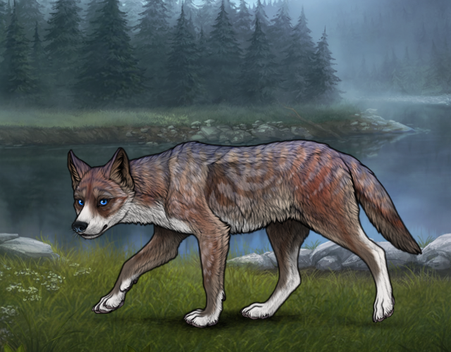 New Puppy |:| Wolvden