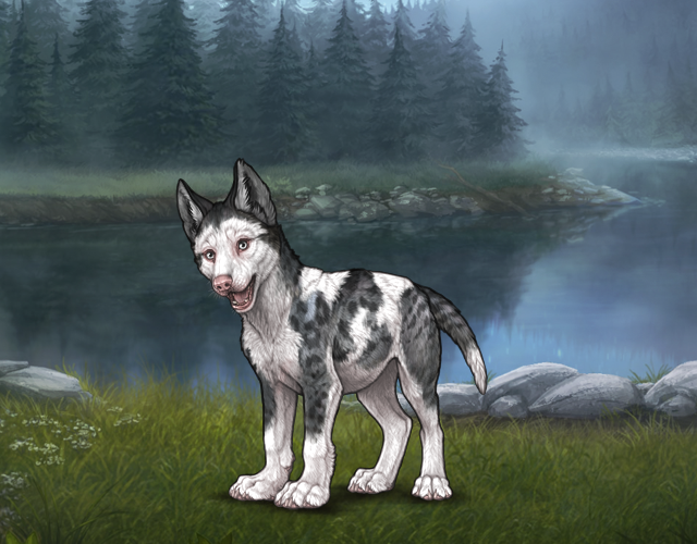 Pretty 7m frontal |:| Wolvden