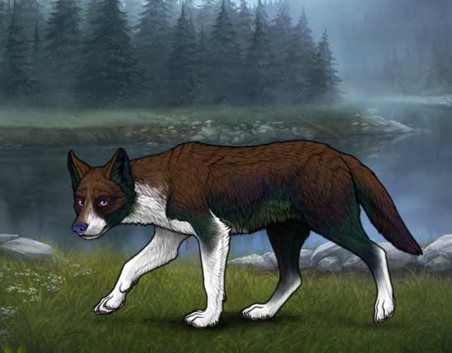 NBW Corundum Yearling |:| Wolvden