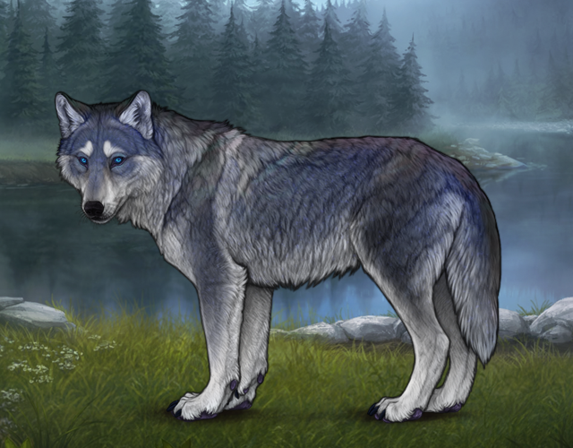 Finisher |:| Wolvden