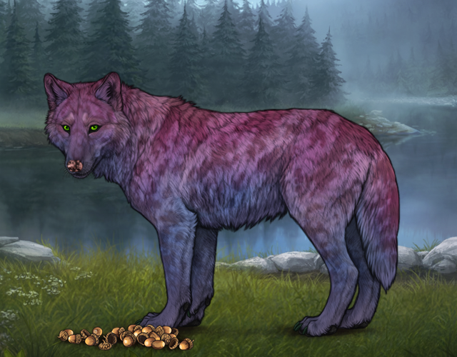 Hydrangea, 2x merle, male |:| Wolvden