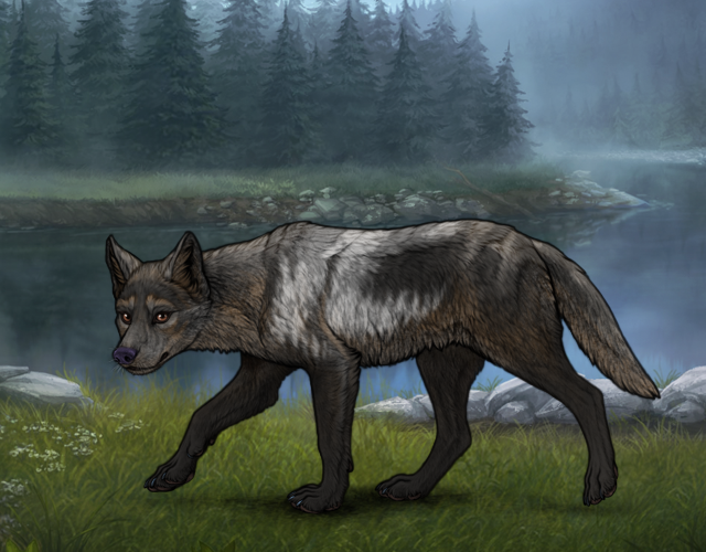 T2 6m 3g (T7) |:| Wolvden