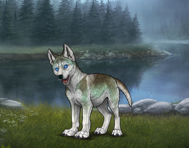 G3 T3 TOPAZ |:| Wolvden