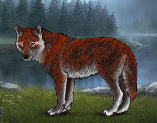 Liver M 6M |:| Wolvden