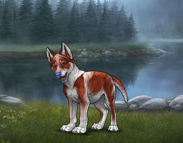 NorthernStar7 |:| Wolvden