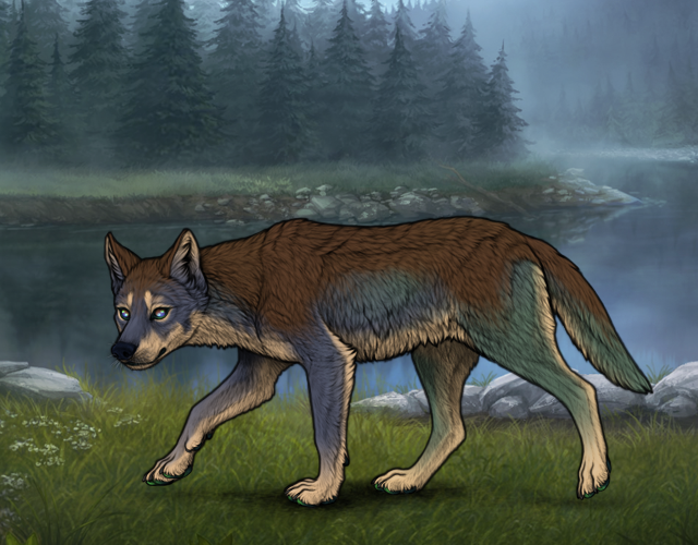 New Runt Puppy |:| Wolvden