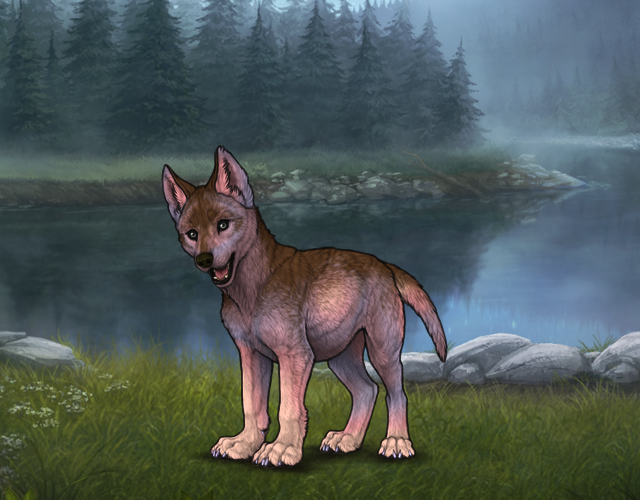 New Runt Puppy |:| Wolvden