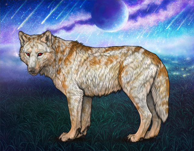 ! New Stud |:| Wolvden