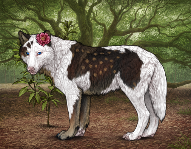 G3 T1 Pum Dip Stackd |:| Wolvden