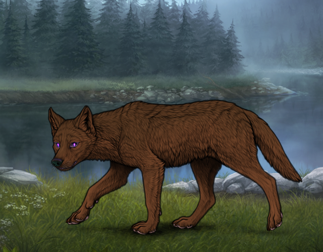 Chased Wolf Spotting - Revamped |:| Wolvden