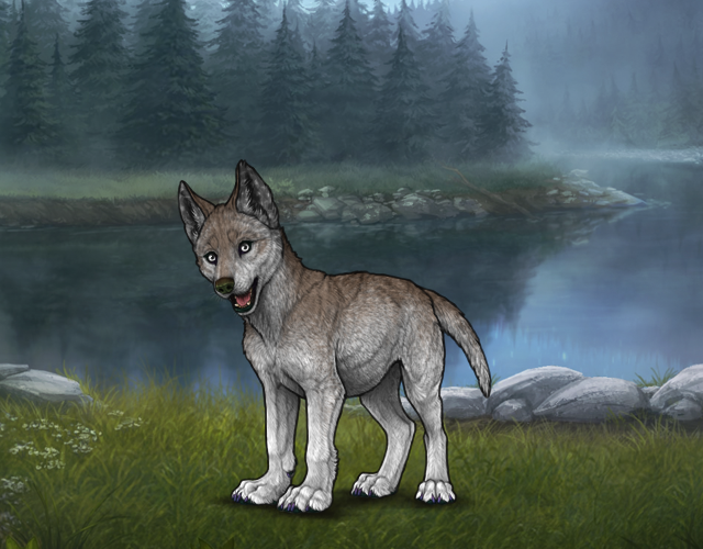 G2 Melchior 4m4r 459 |:| Wolvden