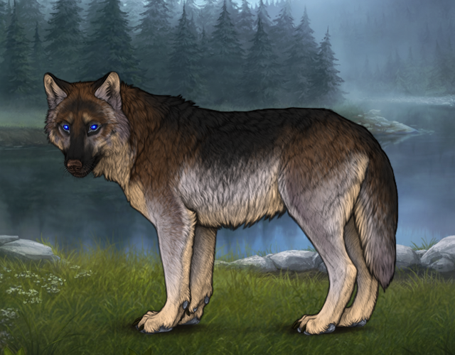 Uneven Male T2 |:| Wolvden