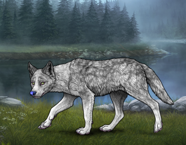 New Puppy |:| Wolvden