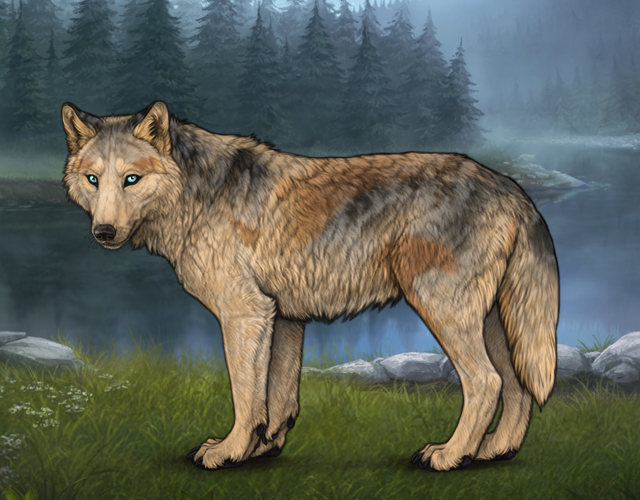 NBW T1 Mint 5M G1 |:| Wolvden