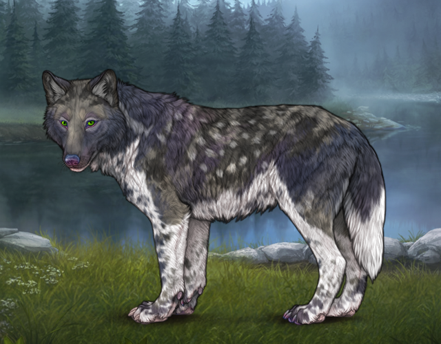 Pie: Zerdava |:| Wolvden