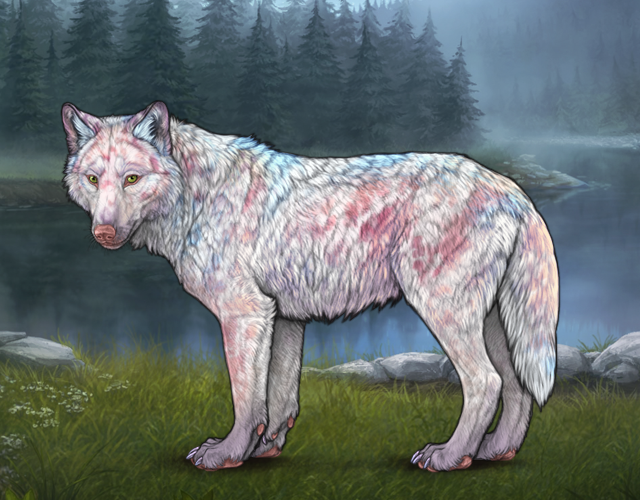 G2 8M 5ev MWSWTS |:| Wolvden