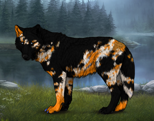 Patches: Mottled M |:| Wolvden