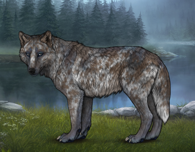Poss mel |:| Wolvden