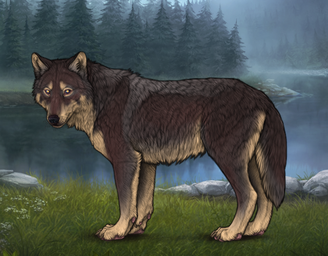 G2 Black LS/Panda |:| Wolvden