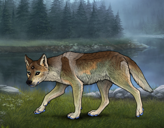 Liver, 7M |:| Wolvden