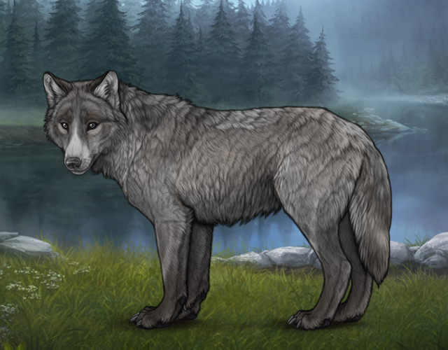 Deaf mut brach carrier |:| Wolvden