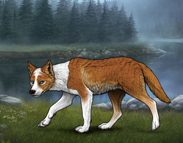 G2 Moj 7M |:| Wolvden